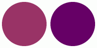ColorCombo3455 with Hex Colors #993366 #660066