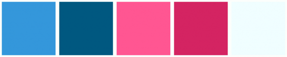 ColorCombo14555 with Hex Colors #3497DB #005880 #FF5692 #D42462 #F0FEFF