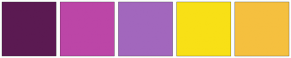 ColorCombo15045 with Hex Colors #5B1A52 #BC46A7 #A267BD #F8E016 #F5C03F