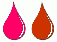 ColorCombo4294 with Hex Colors #FF0066 #CC3300