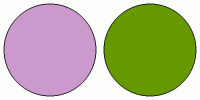 ColorCombo5004 with Hex Colors #CC99CC #669900
