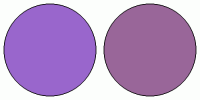 ColorCombo5269 with Hex Colors #9966CC #996699