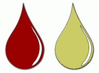 ColorCombo5289 with Hex Colors #990000 #CCCC66