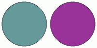 ColorCombo5607 with Hex Colors #669999 #993399