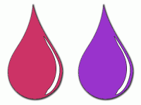 ColorCombo5646 with Hex Colors #CC3366 #9933CC