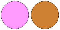 ColorCombo5846 with Hex Colors #FF99FF #CD7F32