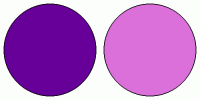 ColorCombo6725 with Hex Colors #660099 #DB70DB