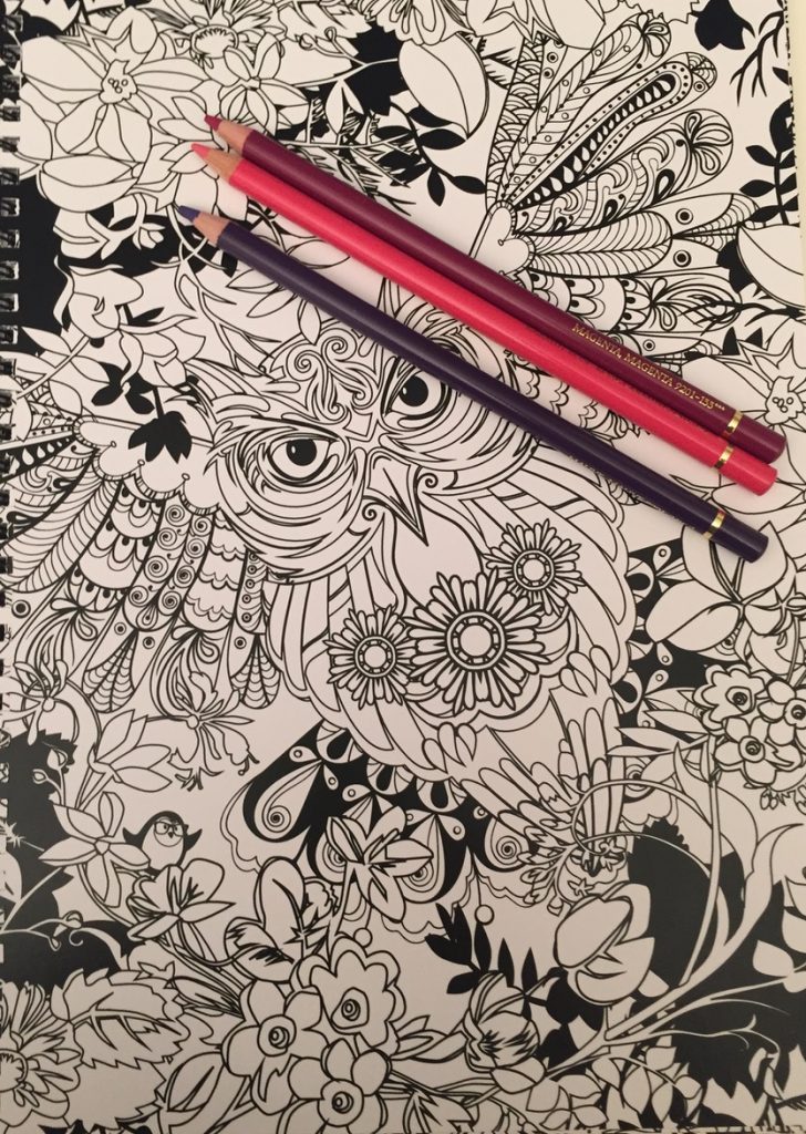 Percy And The Colouring Adventure - Colouring Book Review - Coloring Queen