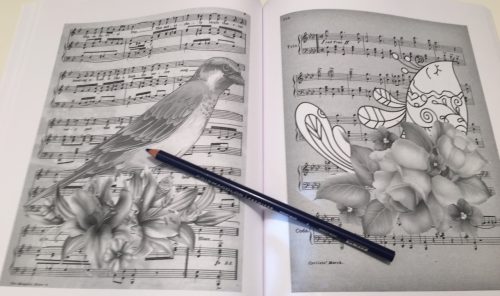 Beautiful Music Coloring Book Review - Coloring Queen