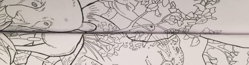 The Water Hole Coloring Book - Review - Coloring Queen
