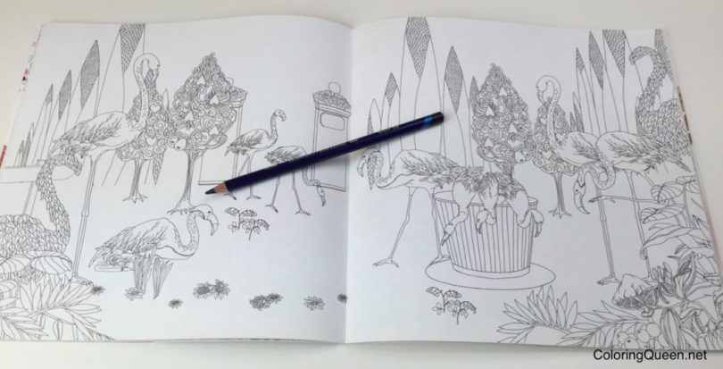 Pandora Coloring Book Review - Coloring Queen