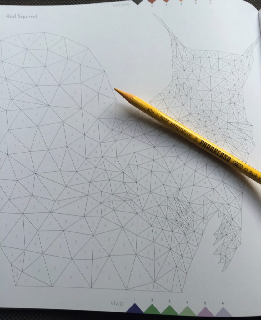 Color Me Wild - Color By Number Coloring Book - Coloring Queen