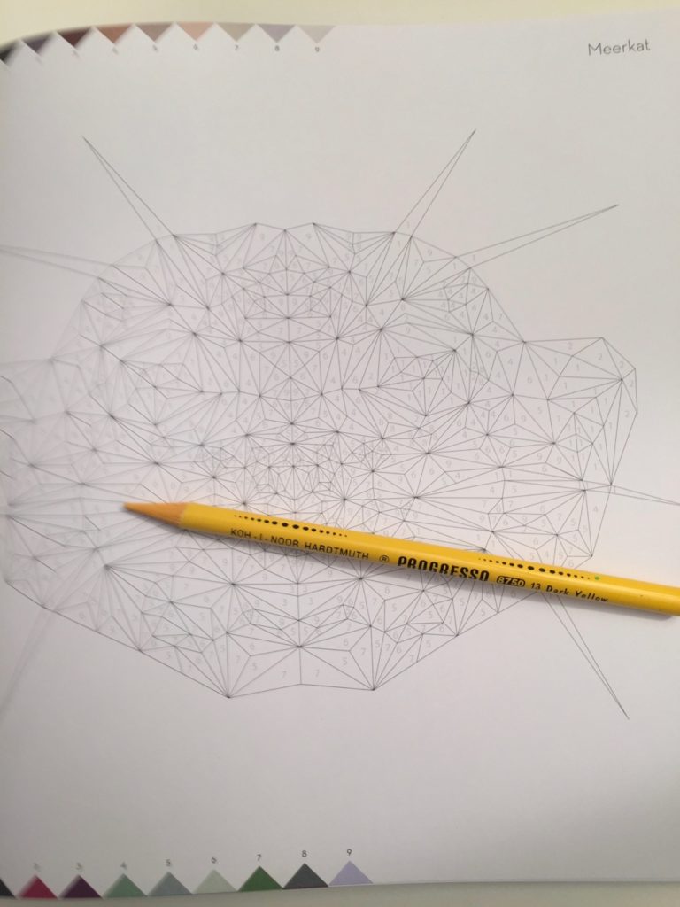 Color Me Wild - Color By Number Coloring Book - Coloring Queen