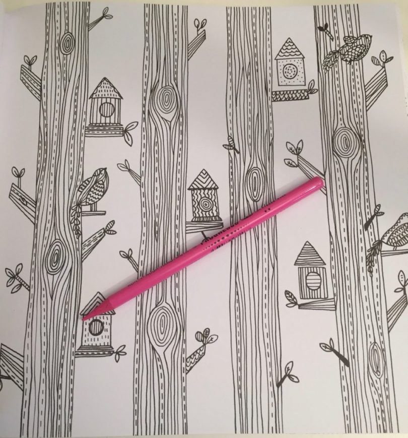 Scandia: A Colouring Book Journey - Coloring Queen