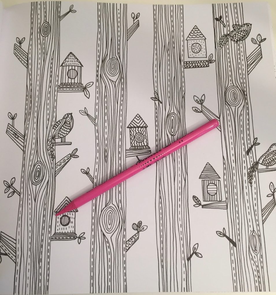 Scandia: A Colouring Book Journey - Coloring Queen