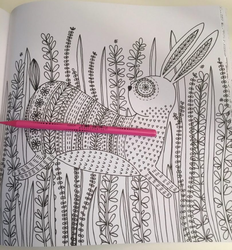 Scandia: A Colouring Book Journey - Coloring Queen