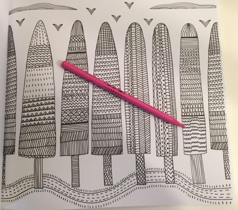 Scandia: A Colouring Book Journey - Coloring Queen