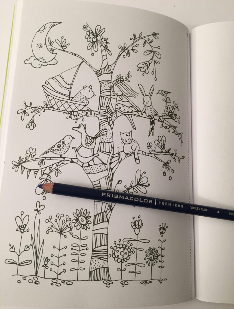 Yonat Katzir - Coloring Book - Coloring Queen