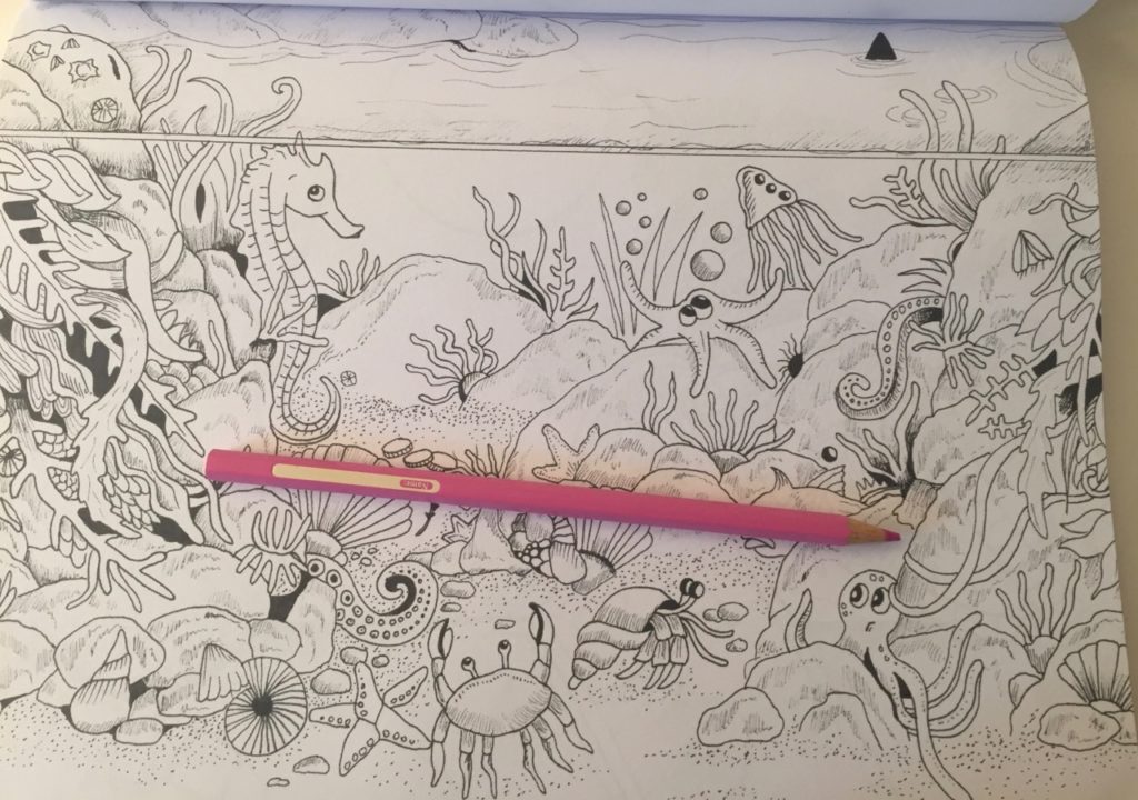 A Day at the Beach: A Summertime Colouring Adventure - Coloring Queen
