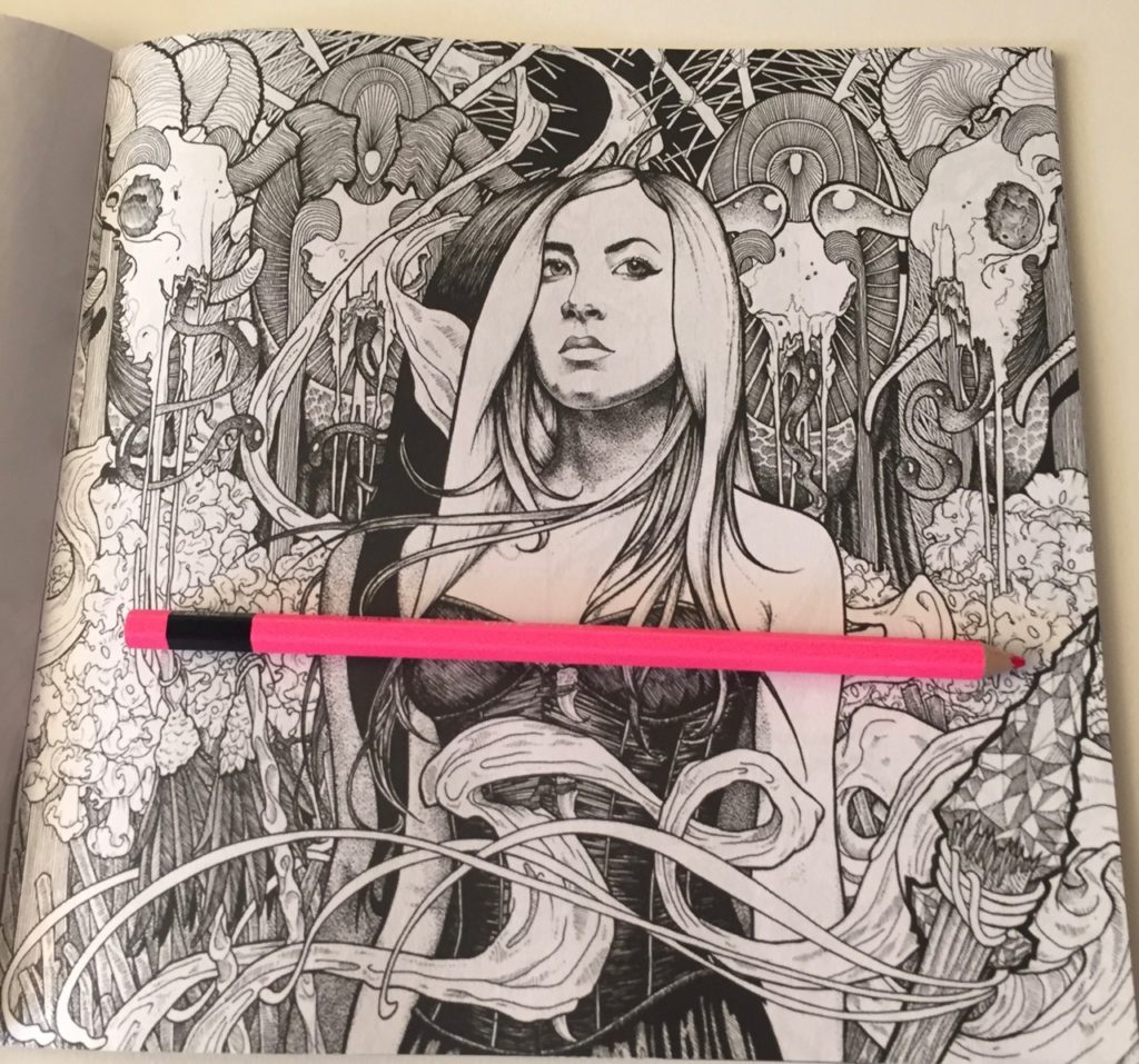 Full Metal Adult Coloring Book Review - Coloring Queen