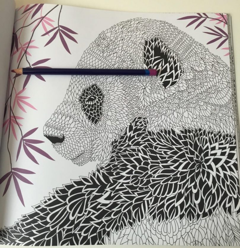 The Menagerie - Animal Portraits to Color - Coloring Queen