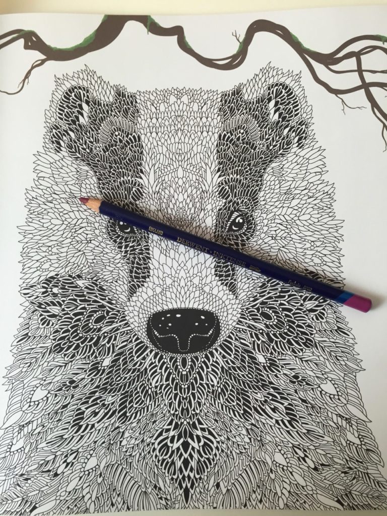 The Menagerie - Animal Portraits to Color - Coloring Queen