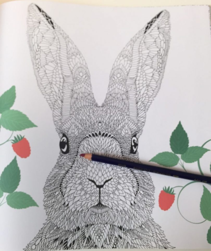 The Menagerie - Animal Portraits to Color - Coloring Queen