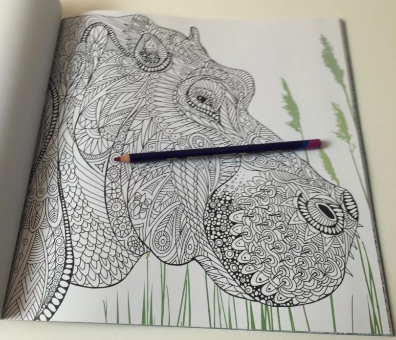 The Menagerie - Animal Portraits to Color - Coloring Queen