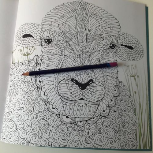 The Menagerie - Animal Portraits to Color - Coloring Queen
