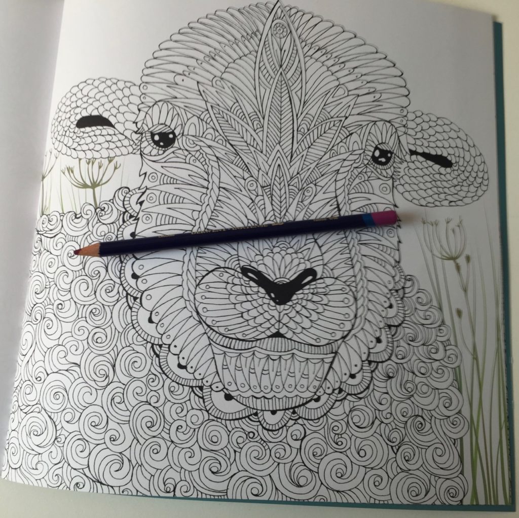 The Menagerie - Animal Portraits to Color - Coloring Queen