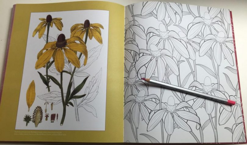 RHS Floral Colouring Book Review - Coloring Queen