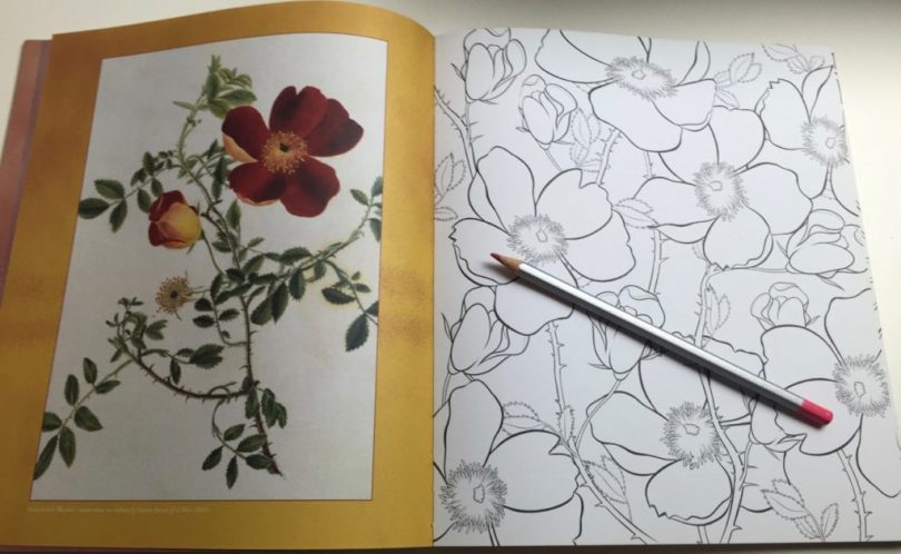 RHS Floral Colouring Book Review - Coloring Queen