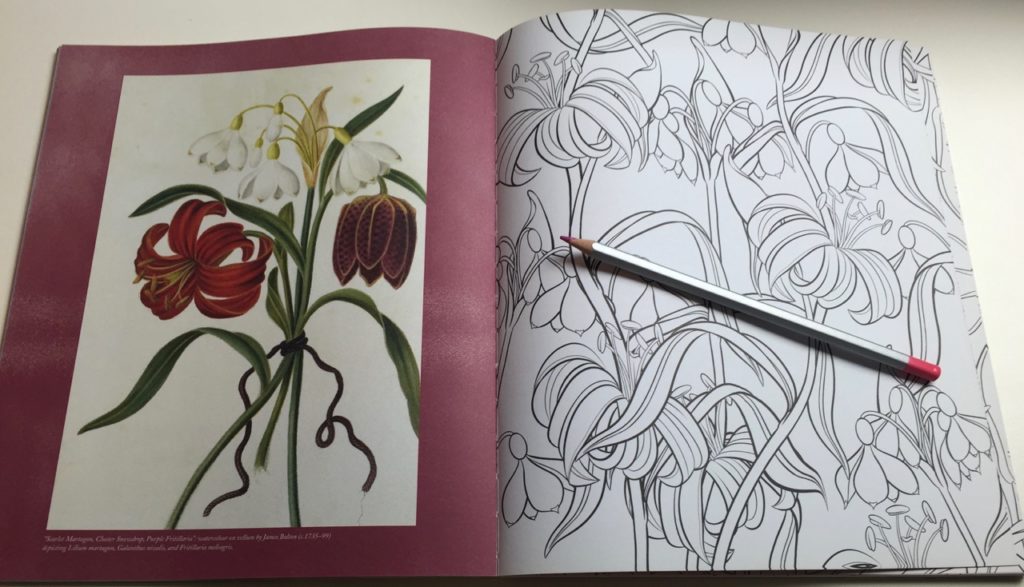 RHS Floral Colouring Book Review - Coloring Queen