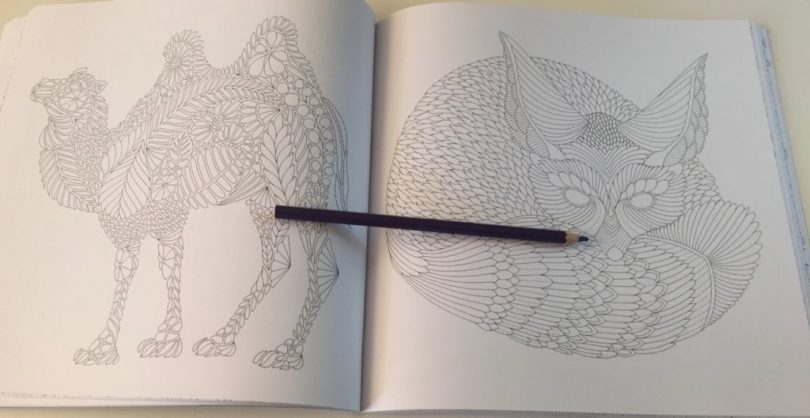 Curious Creatures Coloring Book Review - Coloring Queen