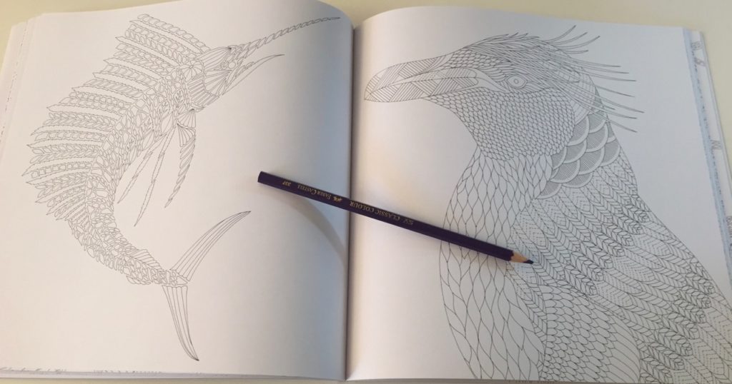 Curious Creatures Coloring Book Review - Coloring Queen