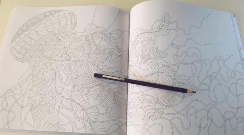 Curious Creatures Coloring Book Review - Coloring Queen