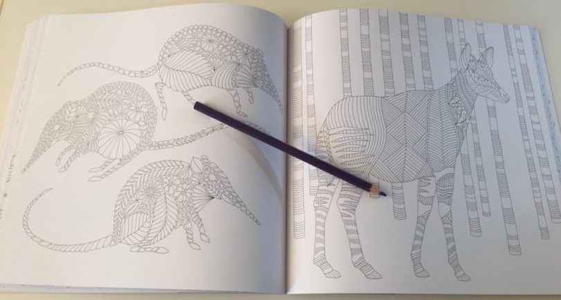 Curious Creatures Coloring Book Review - Coloring Queen