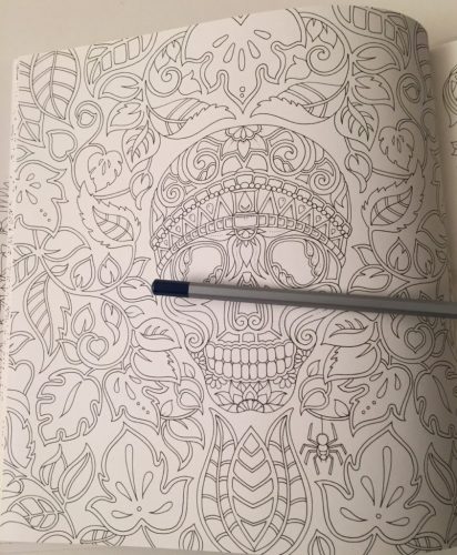 Magical Jungle Coloring Book Review - Coloring Queen