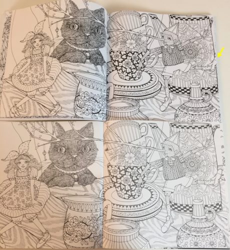 The Mysterious Library - A Coloring Book Journey Into Fables (English ...
