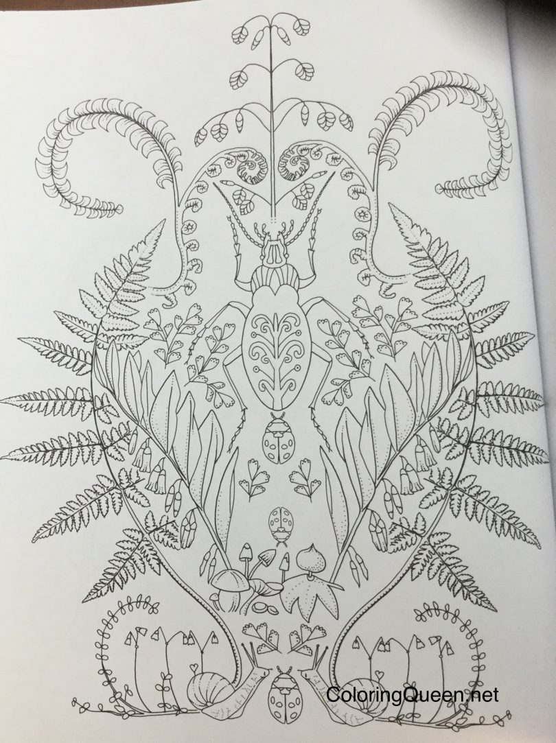 Wonderful Insects Coloring Book - Coloring Queen