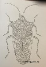 Wonderful Insects Coloring Book - Coloring Queen