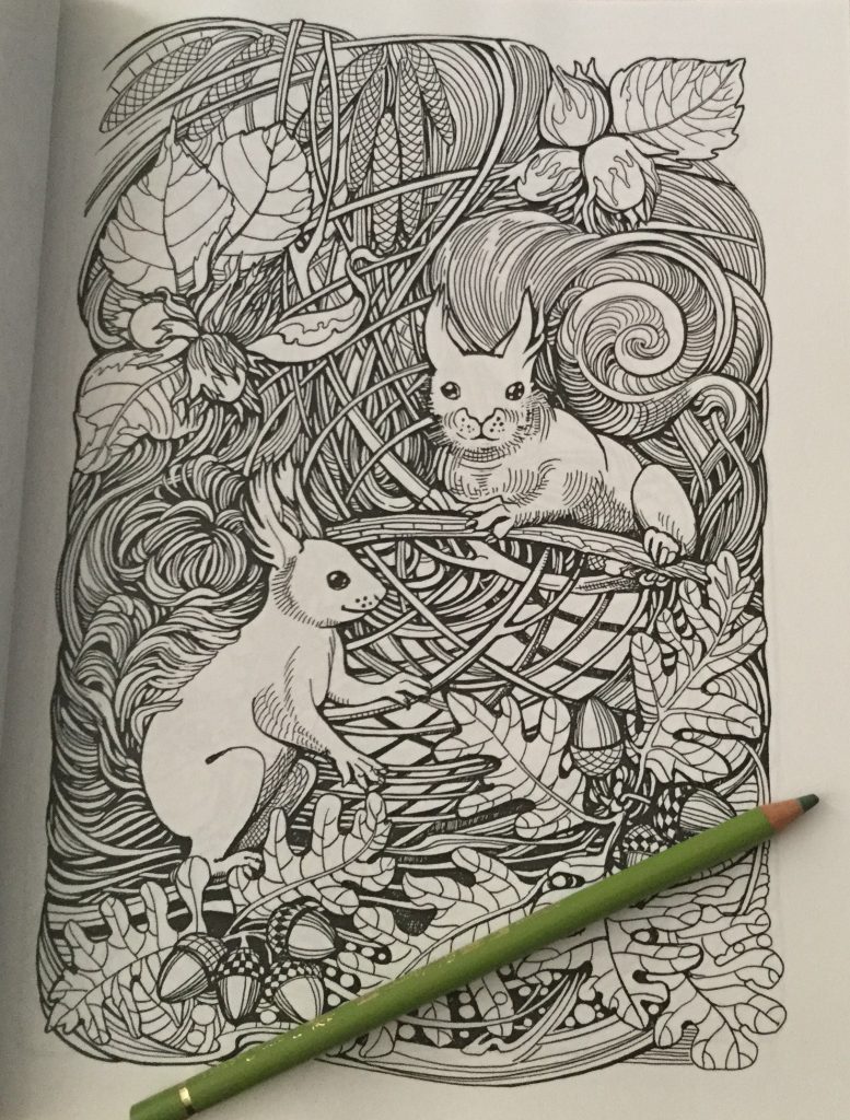 Manic Botanic Coloring Book - Coloring Queen