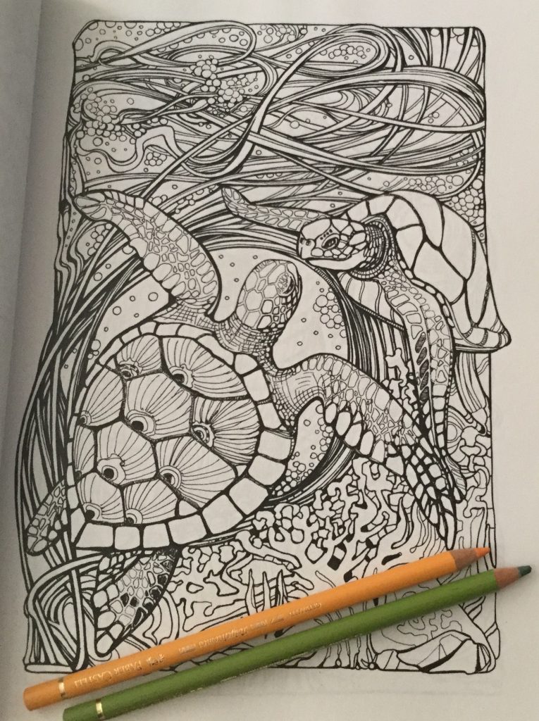 Manic Botanic Coloring Book - Coloring Queen