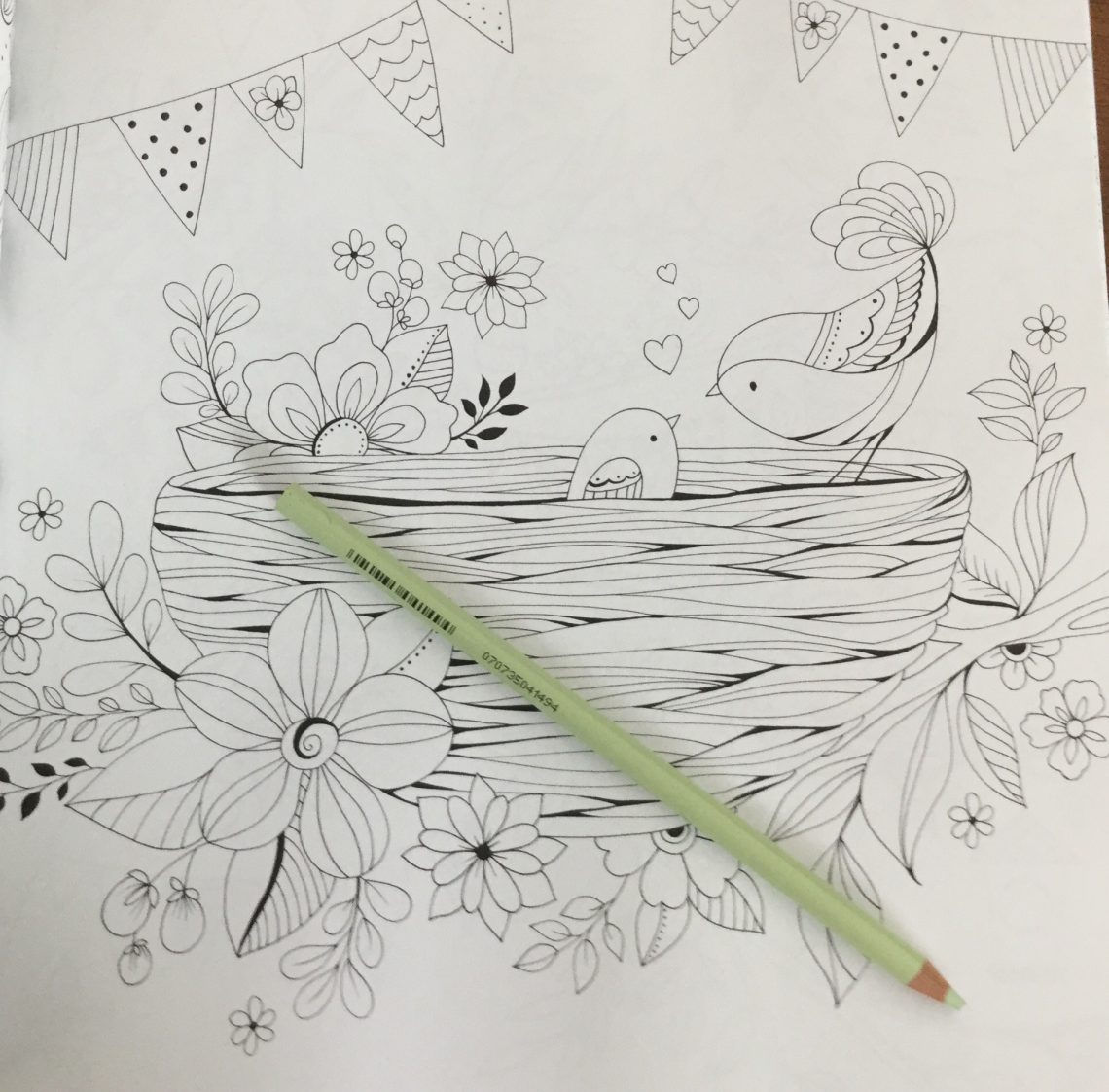 Bold Springtime to Color Coloring Book Review - Coloring Queen