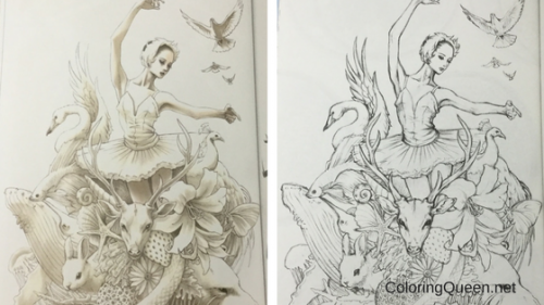 Takumi Coloring Book Review - Coloring Queen