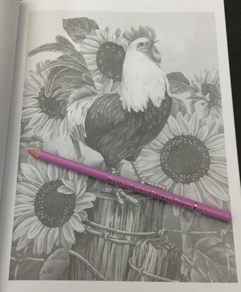 Adorable Animals - Grayscale Coloring Book | Coloring Queen