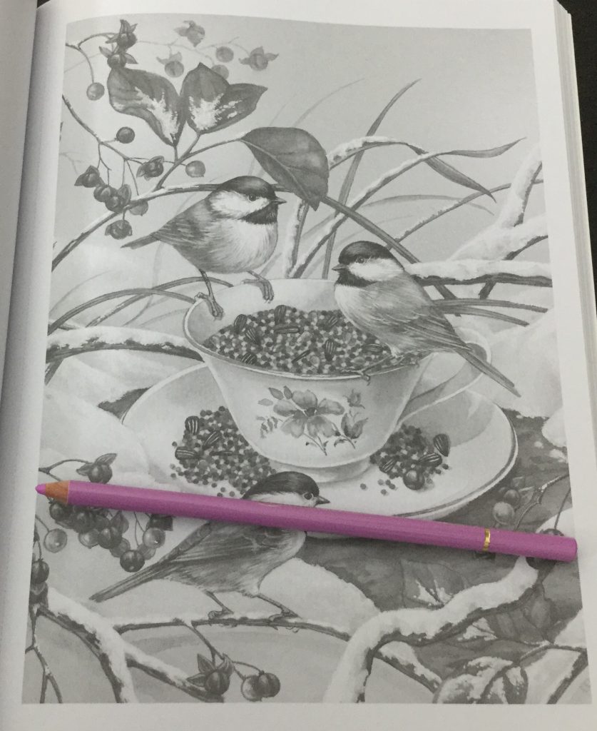 Adorable Animals - Grayscale Coloring Book | Coloring Queen