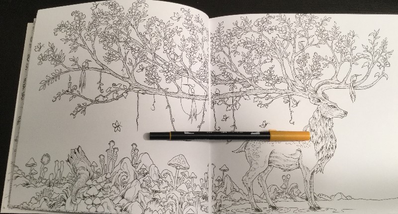 Mythomorphia: An Extreme Coloring and Search Challenge Coloring Book ...
