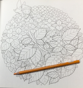 Neverending Story Coloring Book Review - Coloring Queen