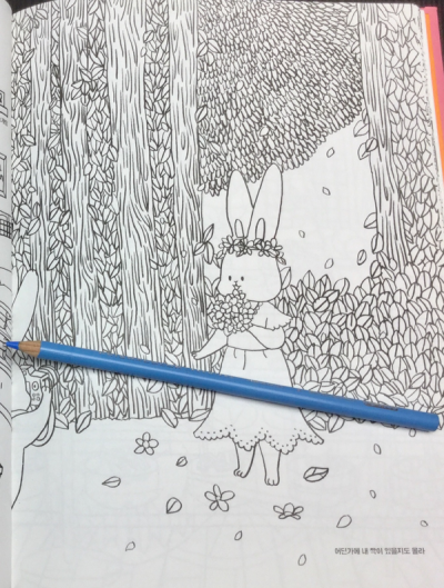 Rabbit Benny Coloring Diary Coloring Book Review - Coloring Queen